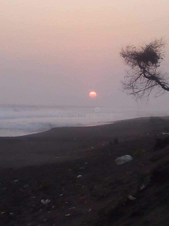 Sad tree on sunset stock photo. Image of haze, sunlight - 266589388