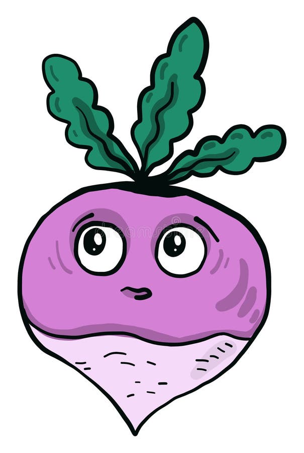 Turnip, Vector or Color Illustration Stock Vector - Illustration of ...