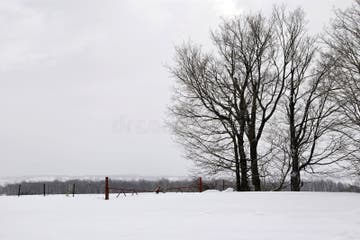 Sad winter stock image. Image of backdrop, design, high - 8320893