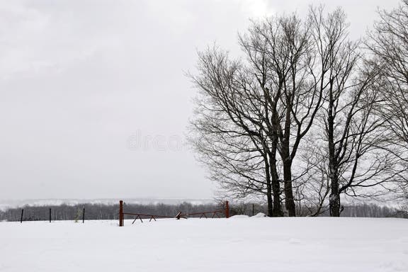 Sad winter stock image. Image of backdrop, design, high - 8320893