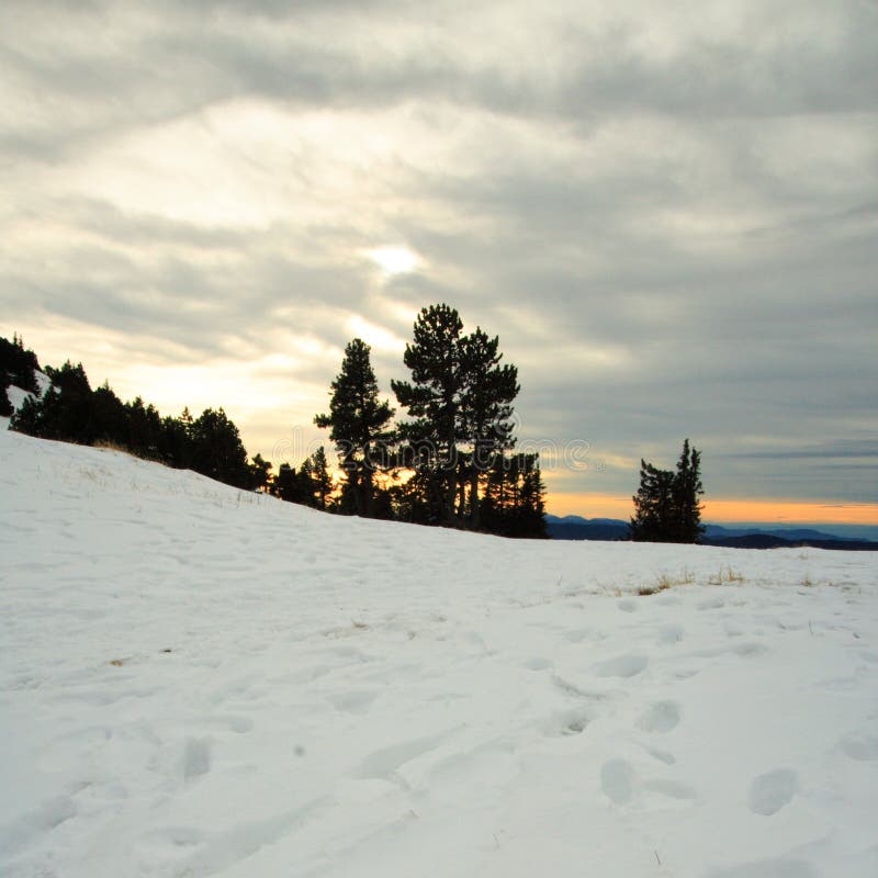 Sad winter day stock photo. Image of cloud, grey, isolated - 3896854