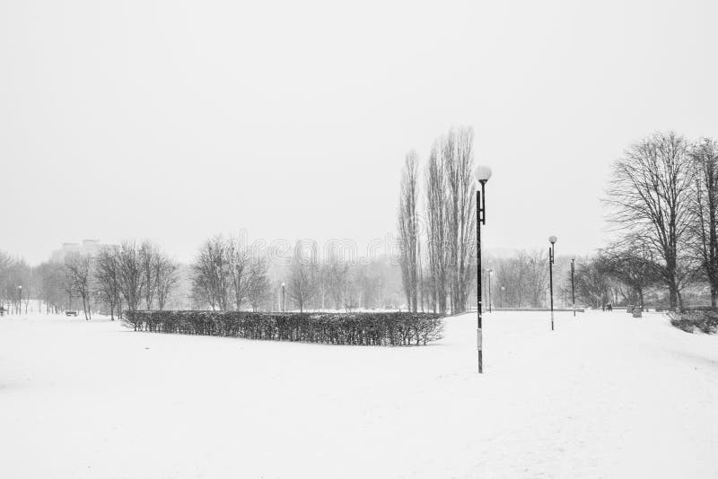 Sad Winter White-black Landscape with Trees in the Snow in January ...