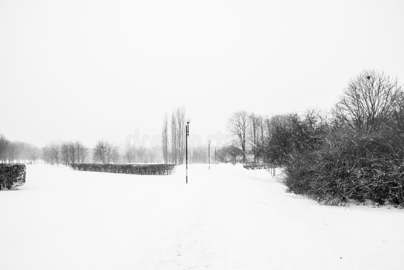 Sad Winter White-black Landscape with Trees in the Snow in January ...