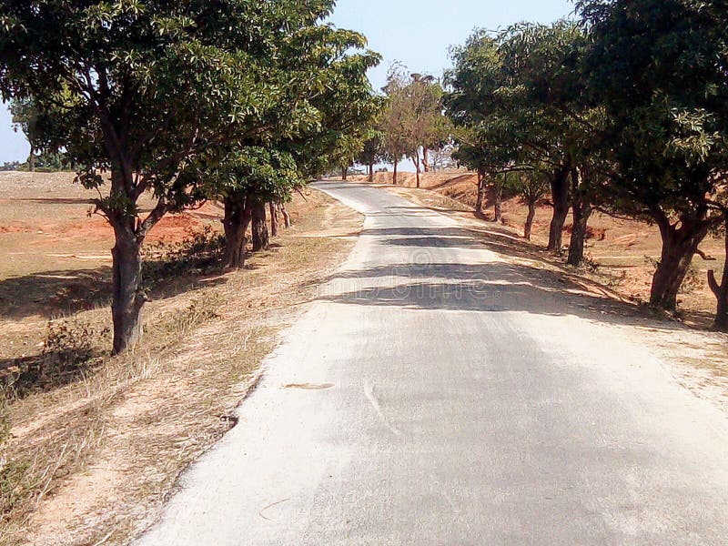Sadak Road Ped Forest Beautiful Park Stock Photo - Image of beautiful ...