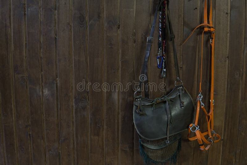 Saddle Horse Reins on Brown Wooden Wall Stock Photo - Image of loghouse ...