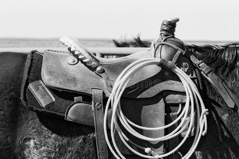 138 Cowboys Lariat Stock Photos - Free & Royalty-Free Stock Photos from ...