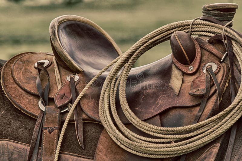 10,823 Western Saddle Stock Photos - Free & Royalty-Free Stock Photos ...