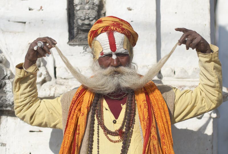 Sadhu hindou photo stock éditorial. Image du homme, hindouisme - 23126868
