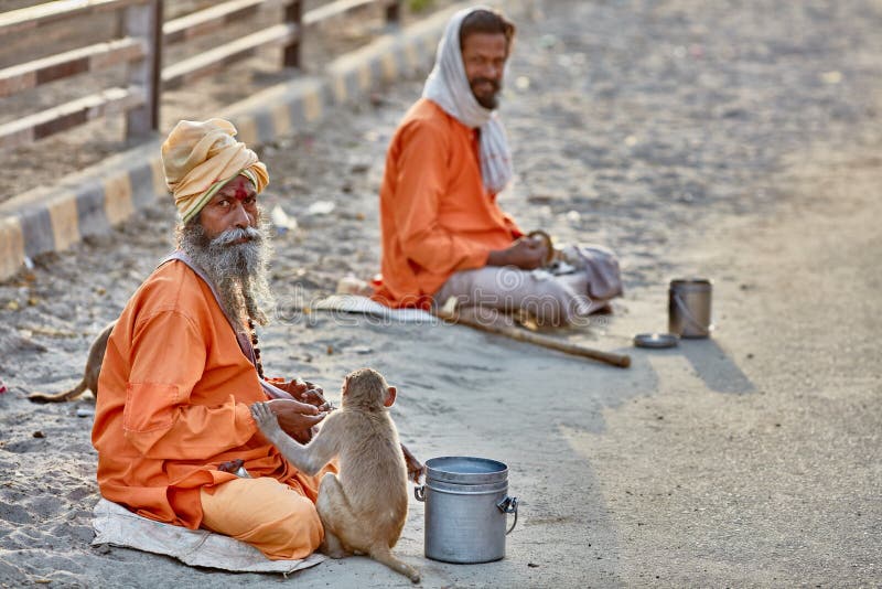 Vrindavan Monkey Stock Photos - Free & Royalty-Free Stock Photos from ...