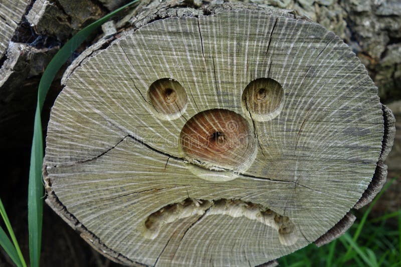 Sadness stock image. Image of tree, face, figure, feeling - 74103661