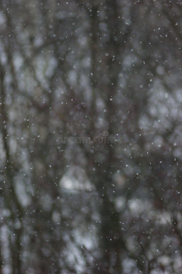 Sadness stock photo. Image of winter, blur, trees, snow - 60477782
