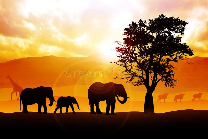 Safari sunset stock vector. Illustration of silhouette - 1370450
