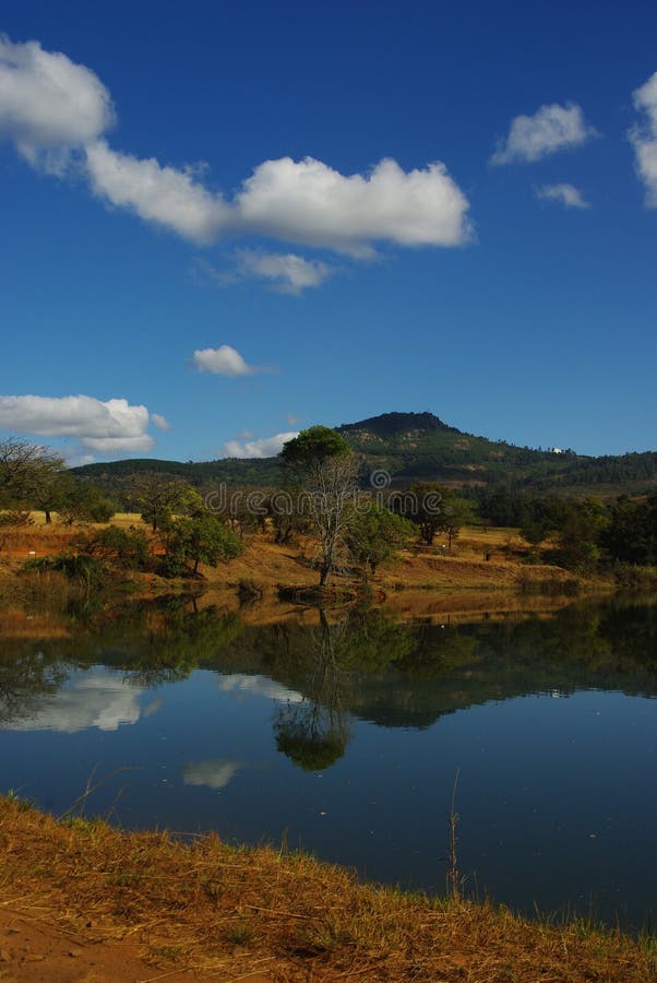 La savane Afrique image stock. Image du flore, acacia - 15913747