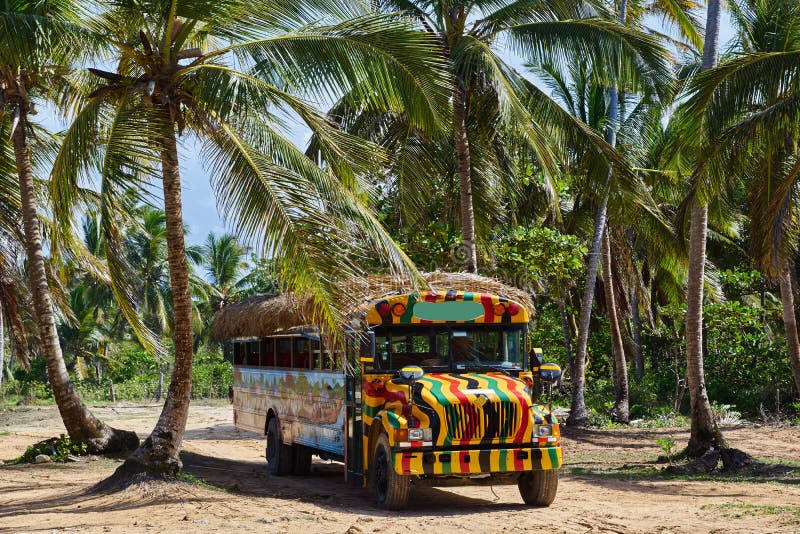 Safari Bus in the Caribbean Stock Photo - Image of tropical, republic ...
