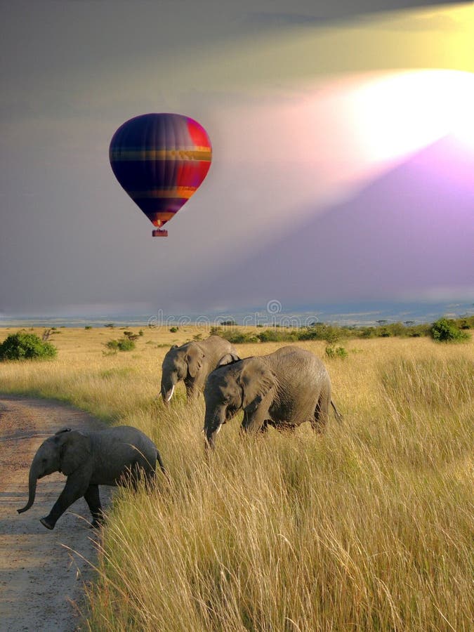 Safari do balão imagem de stock. Imagem de feixe, turismo - 31365221