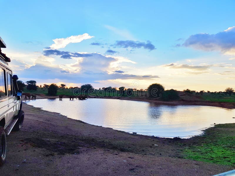 Safari Drive stock photo. Image of cloud, reflection - 245562200