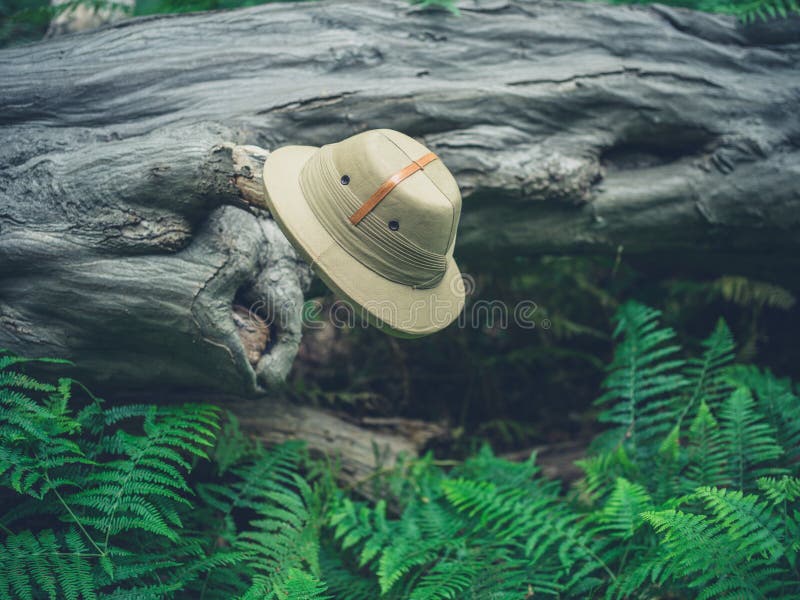 Safari Hat Fallen Tree Forest Stock Photos - Free & Royalty-Free Stock ...