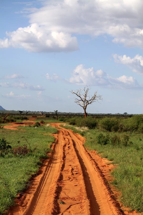 Safari landscape stock photo. Image of safari, orange - 32261690