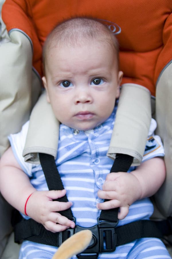 Safe Baby stock photo. Image of cute, belt, secure, safety - 5042318