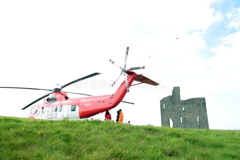 Safe landing stock photo. Image of birds, landing, hover - 10764962