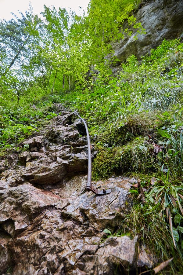 Safety cable on a trail stock image. Image of cable, adventure - 99683925