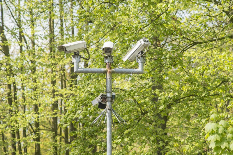 Safety Camera`s Outdoors on a Forest Background with Trees Stock Image ...
