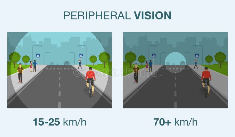 Safety Car Driving Rules and Tips. Peripheral Vision while Driving ...