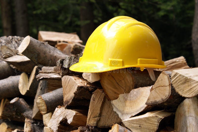 Safety First stock image. Image of forestry, occupation - 14567845