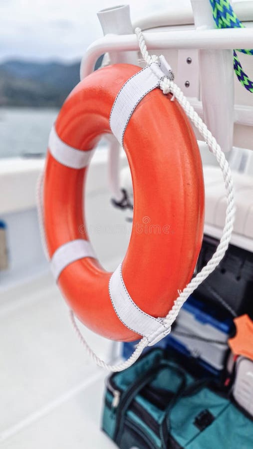 752 Safety First Board Stock Photos - Free & Royalty-Free Stock Photos ...