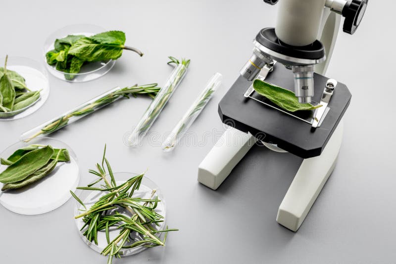Safety Food. Laboratory for Food Analysis Stock Photo - Image of ...