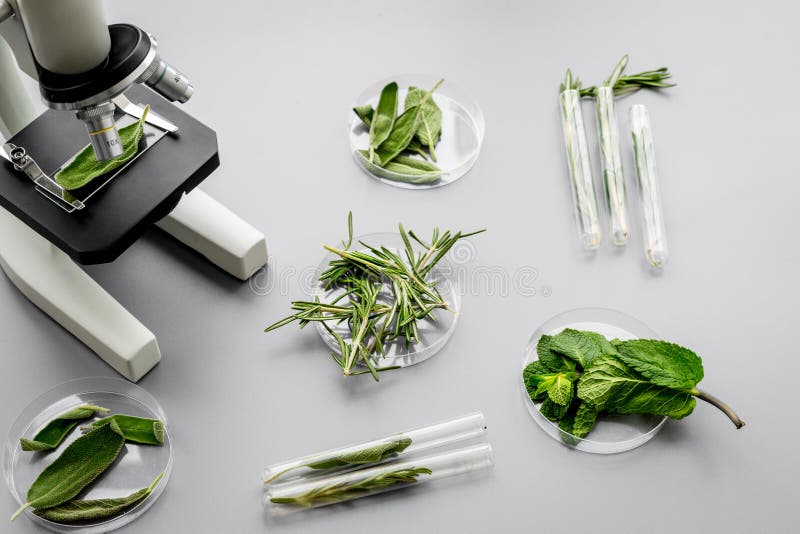 Safety Food. Laboratory For Food Analysis. Herbs, Greens Under ...