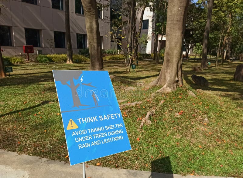 Safety Measure Board Displayed Avoid Standing Below Tree Rain Stock ...