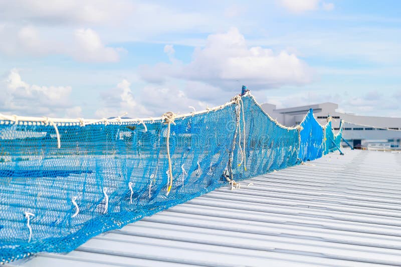 Safety net stock photo. Image of barrier, barricade, trap - 31450774