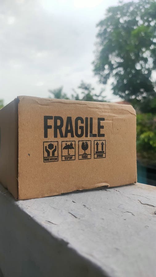 Safety Packing Boxes Keep the Shipment Safe until it Reaches Its ...