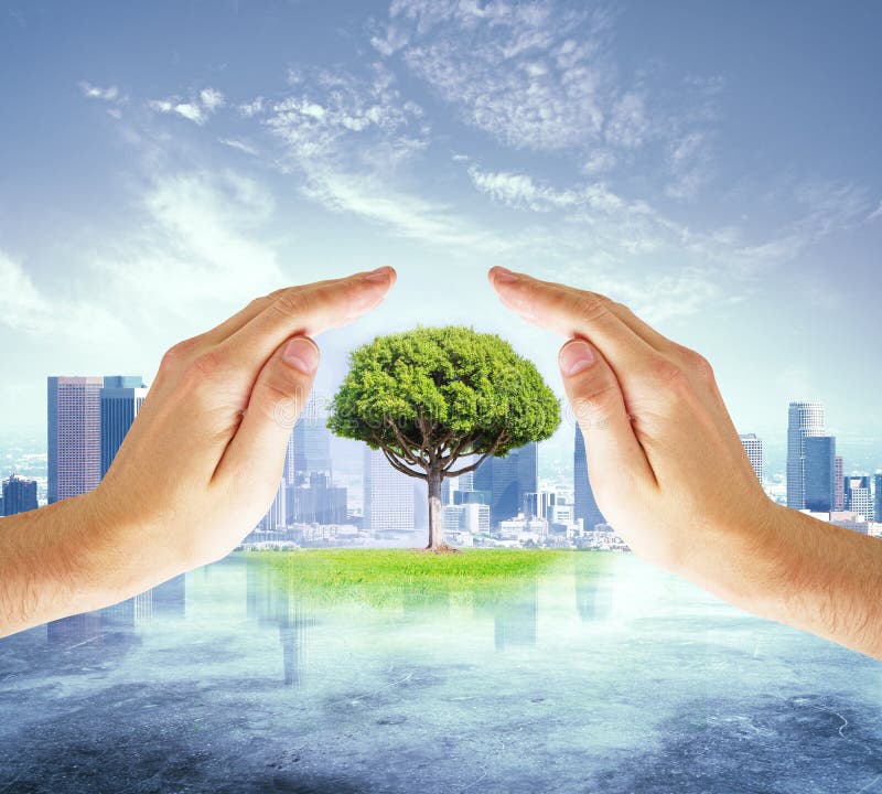 Safety and Protection Concept Stock Photo - Image of abstract, forest ...