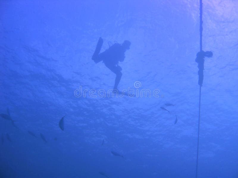Safety-Stop stock photo. Image of scuba, diving, shadow - 401022