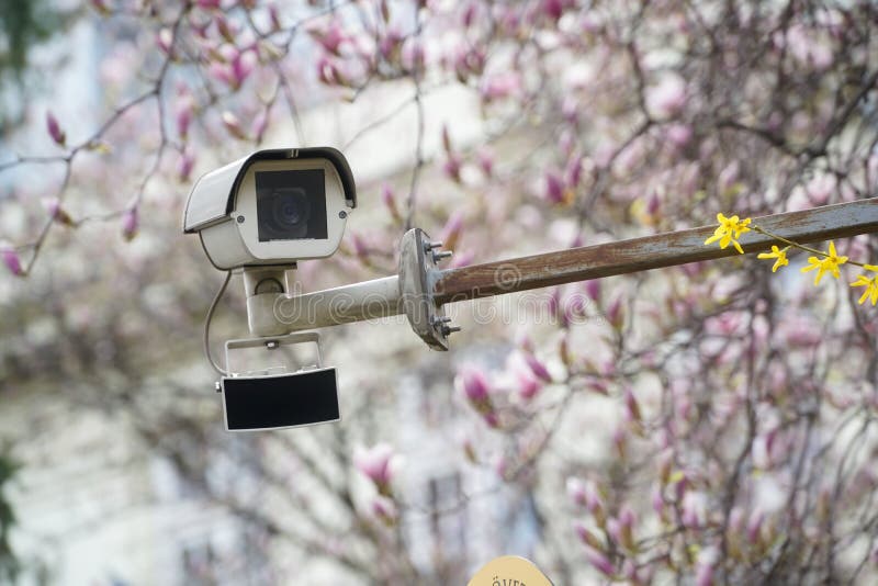 Safety. Surveillance Camera Mounted for Building Surveillance. Stock ...