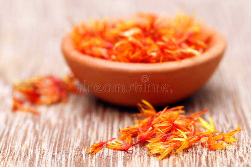 Saffloer stock afbeelding. Image of sinaasappel, rood - 9563511