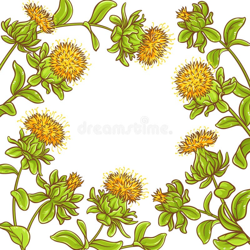 Safflower Oil Stock Illustrations – 88 Safflower Oil Stock ...