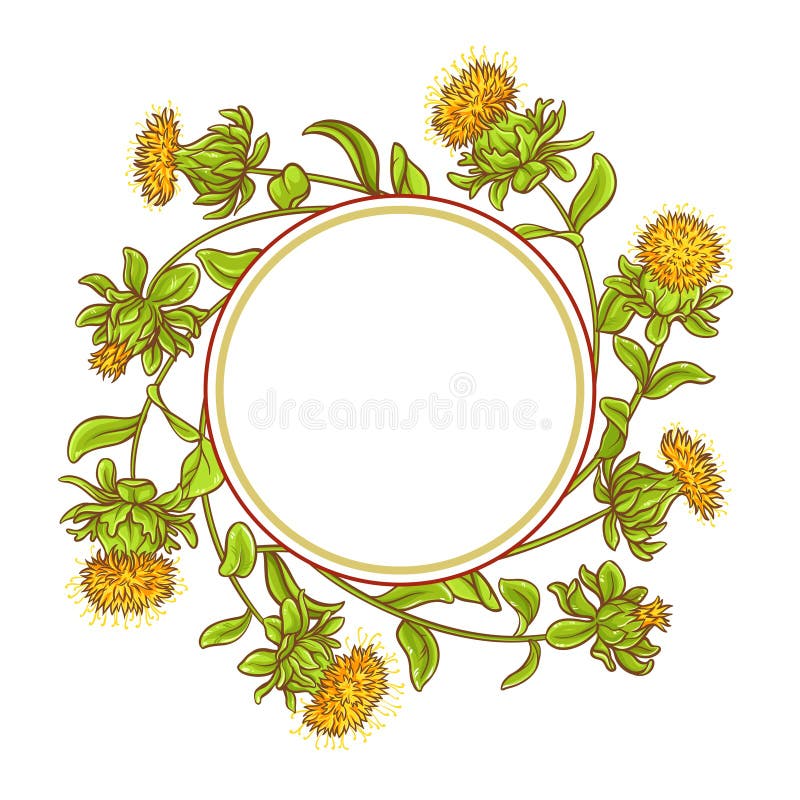 Safflower vector set stock vector. Illustration of ingredient - 77406879