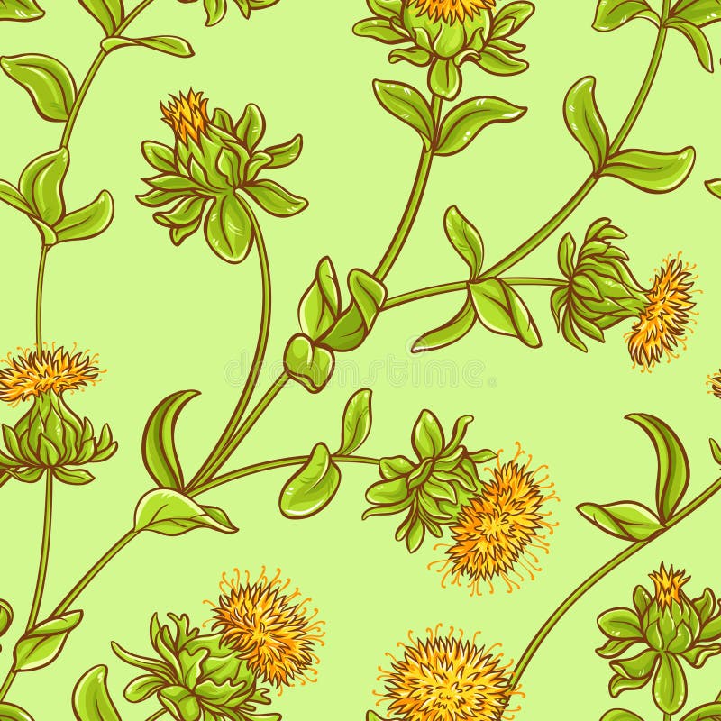 Safflower seamless pattern stock vector. Illustration of flower - 84755684