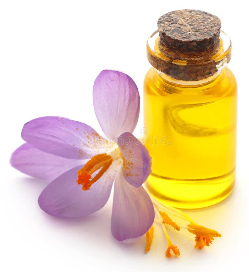 Saffron Crocus Flower with Extract Stock Photo - Image of cooking ...