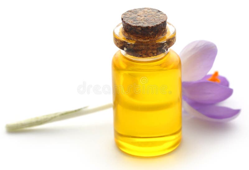 Saffron Crocus Flower with Extract Stock Photo - Image of arabic ...