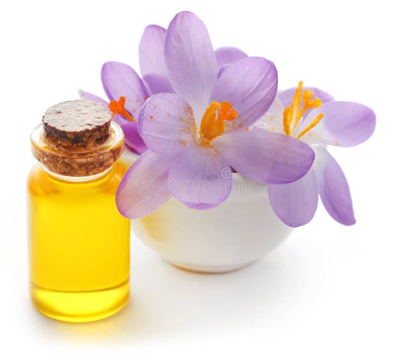 Saffron Crocus Flower with Extract Stock Image - Image of expensive ...