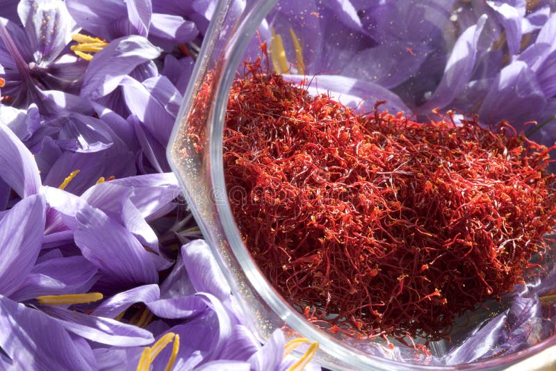 355 Saffron Process Stock Photos - Free & Royalty-Free Stock Photos ...