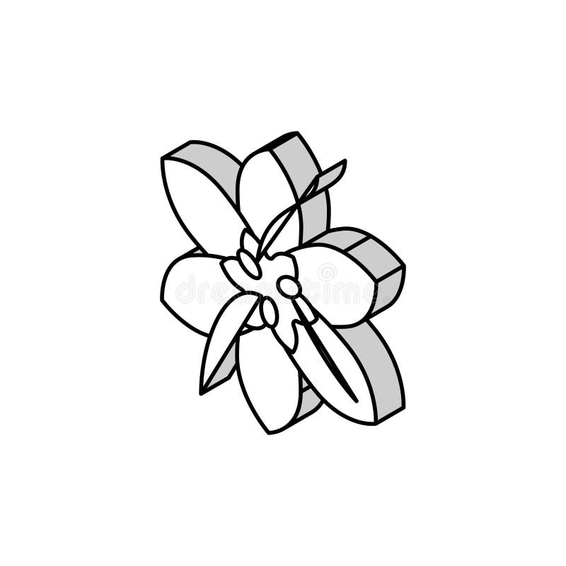 Saffron Flower Bud Isometric Icon Vector Illustration Stock ...