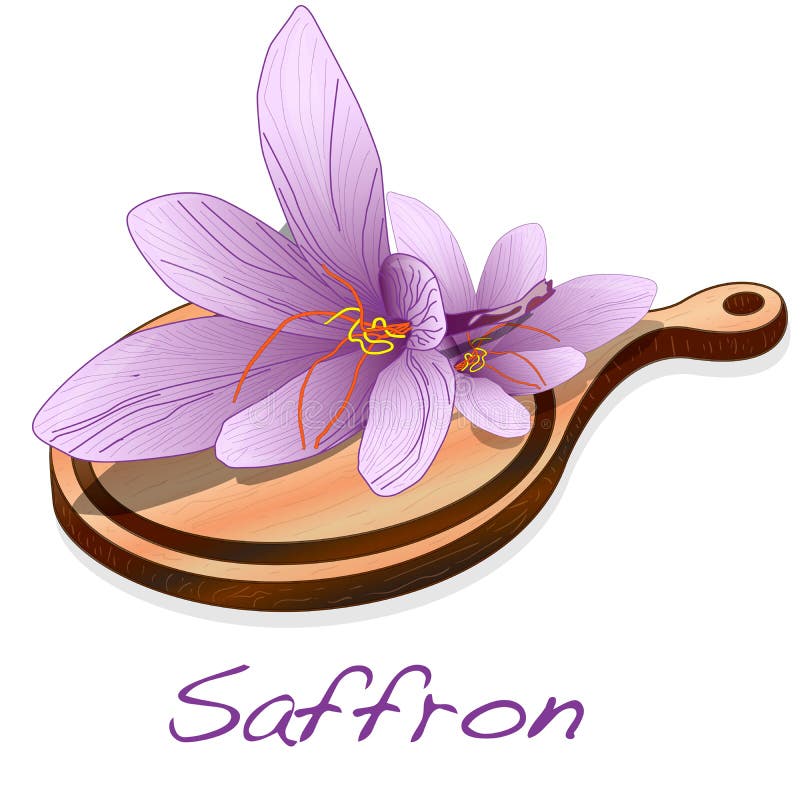 Saffron Flower on the Dish Illustration Set. Vector Isolated Stock ...
