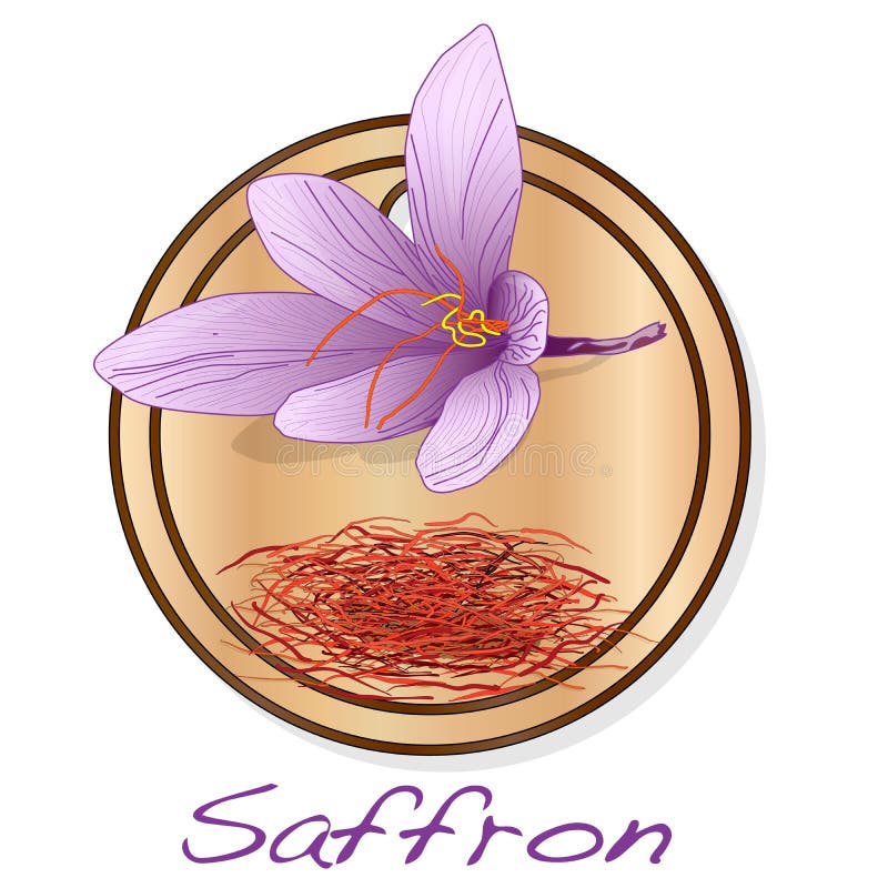 Saffron Flower On The Dish Illustration Set. Vector Isolated Stock ...