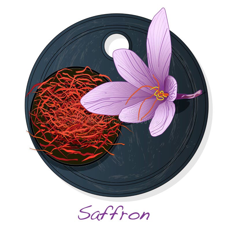 Saffron Flower on the Dish Illustration Set. Vector Isolated Stock ...