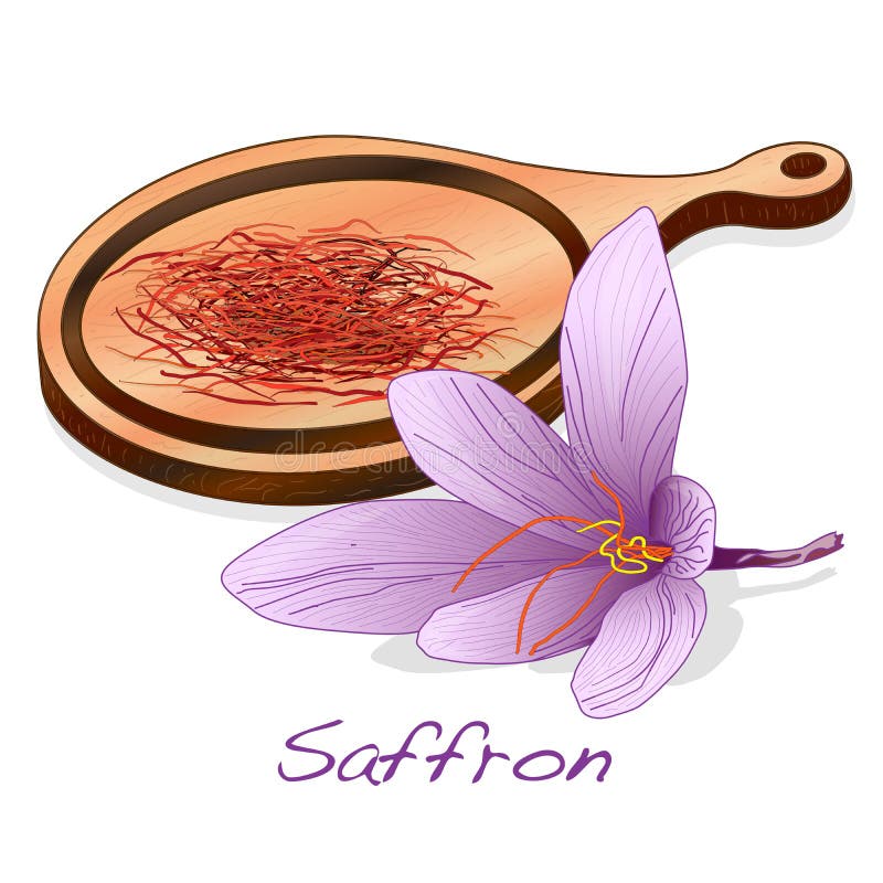 Saffron Flower on the Dish Illustration Set. Vector Isolated Stock ...